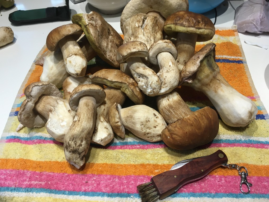 {actor} creado el nuevo tema